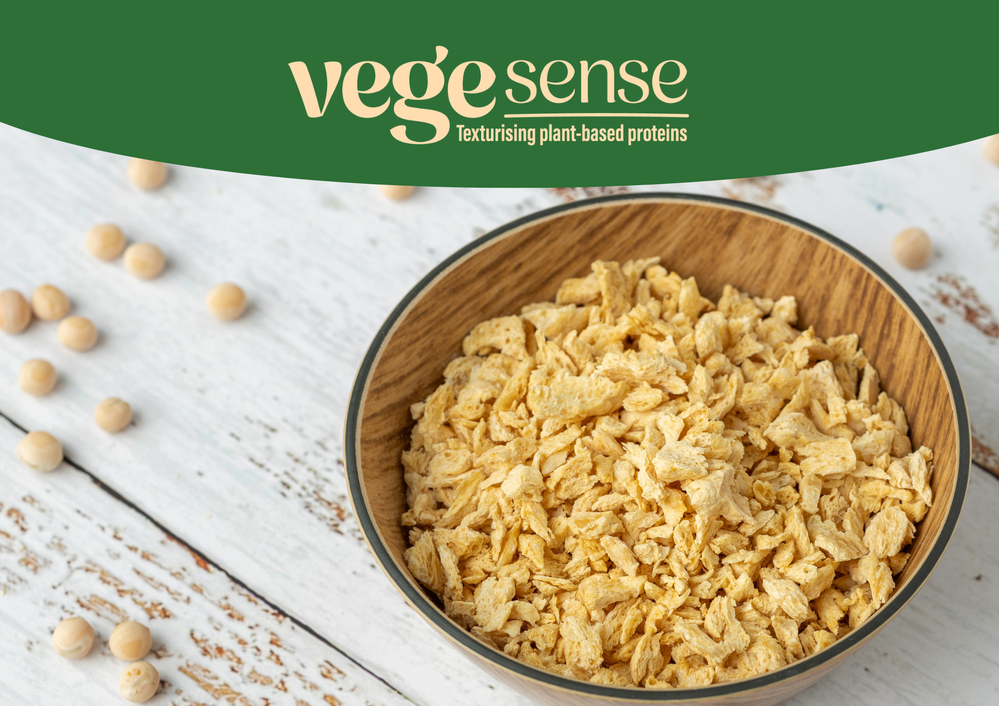 catalogue-vegesense-FR